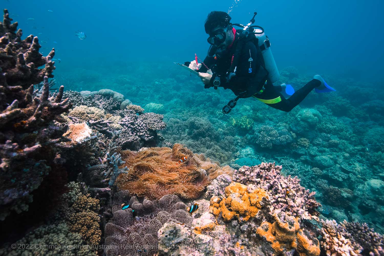 Aboriginal and Torres Strait Islander Heritage Strategy | Reef Authority