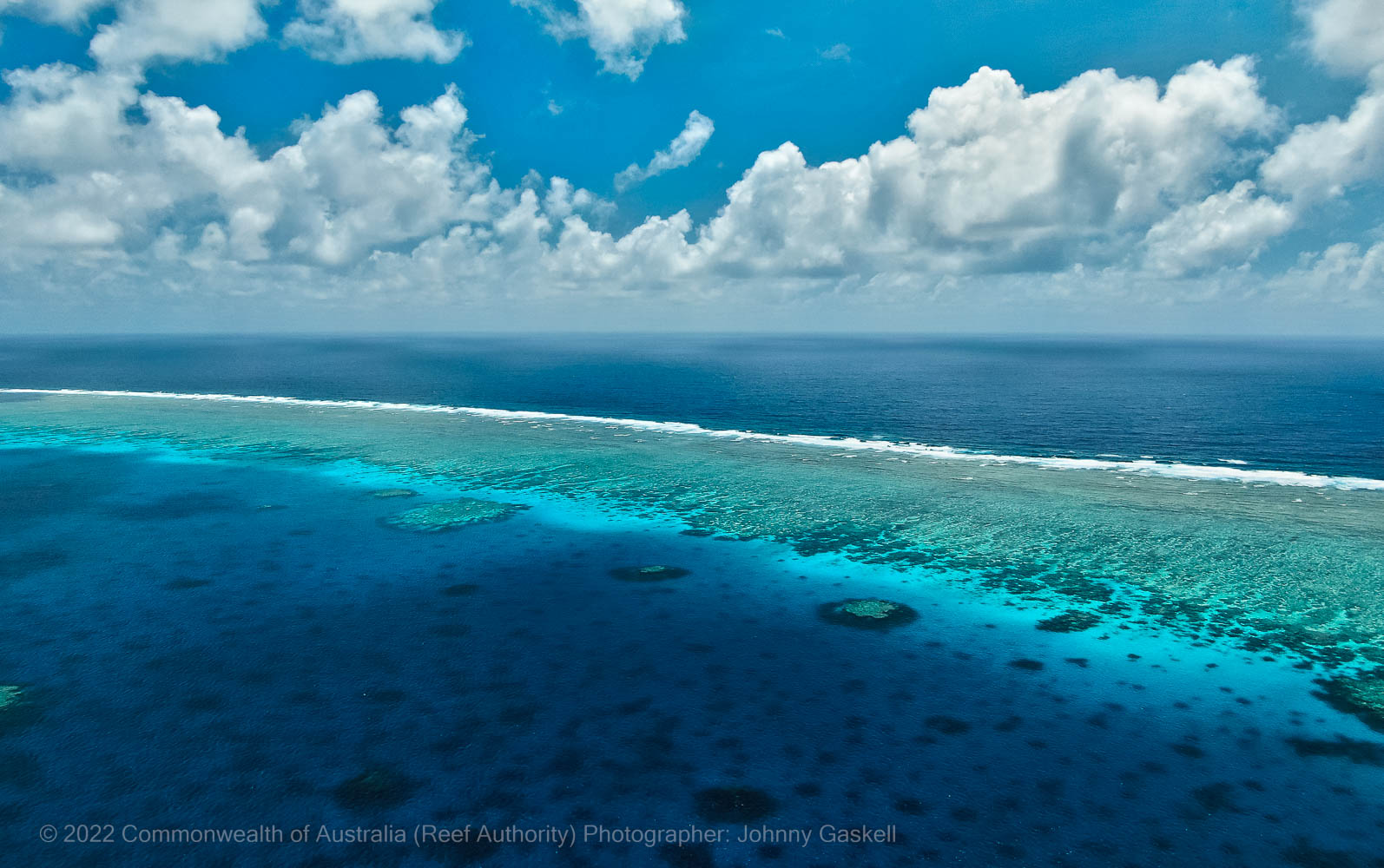 Partners | Reef Authority