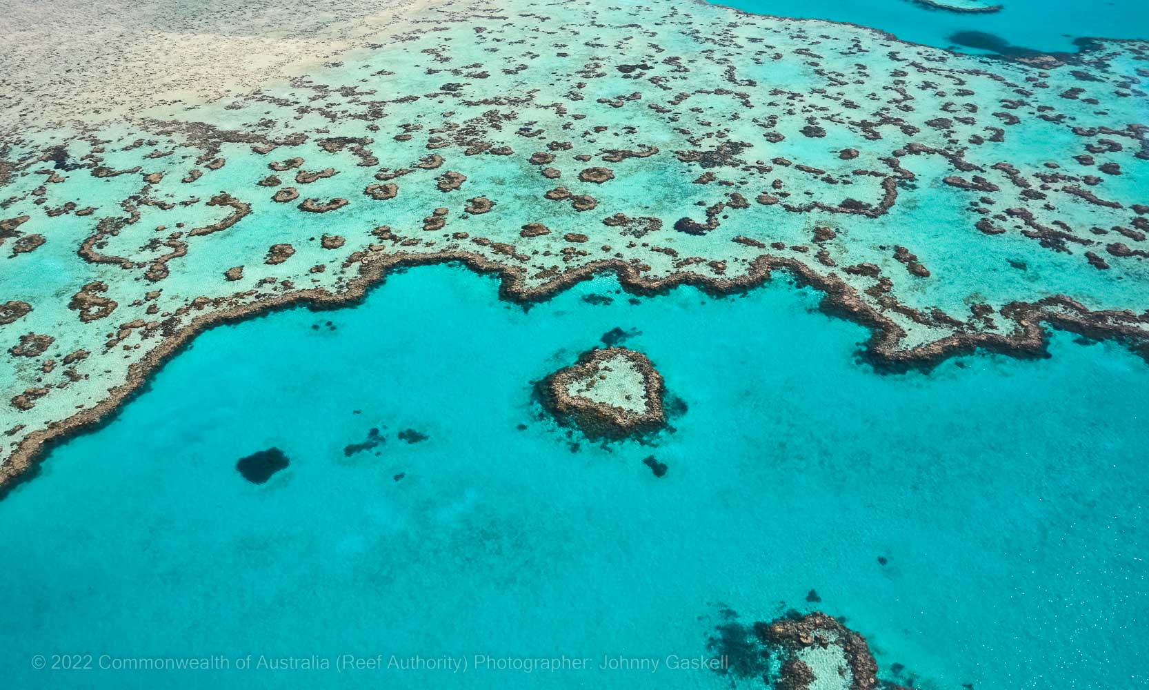 About us | Reef Authority