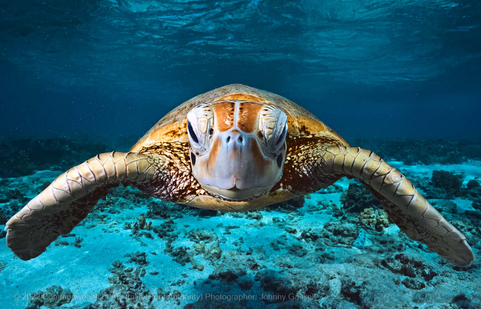 2025 Reef Forum | Reef Authority