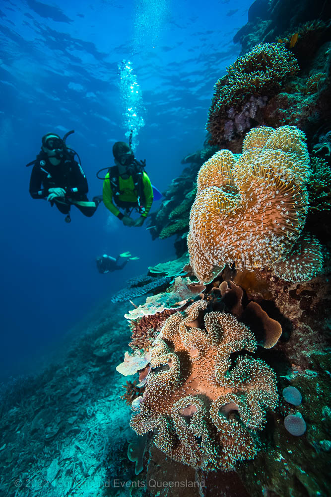 Access | Reef Authority