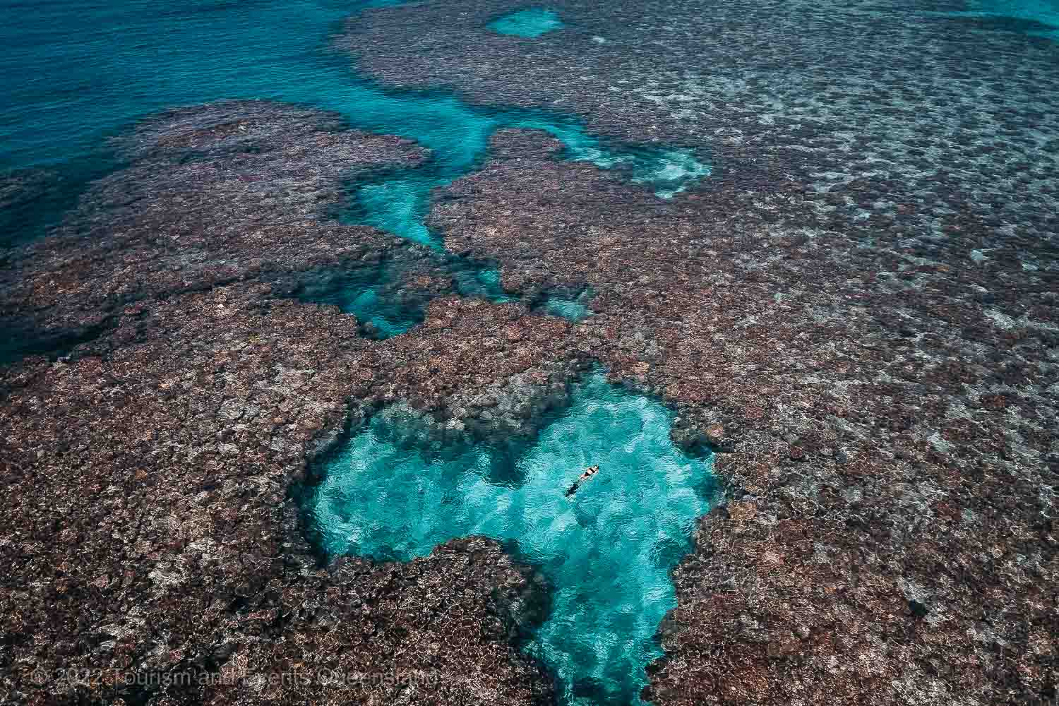 Online Services | Reef Authority