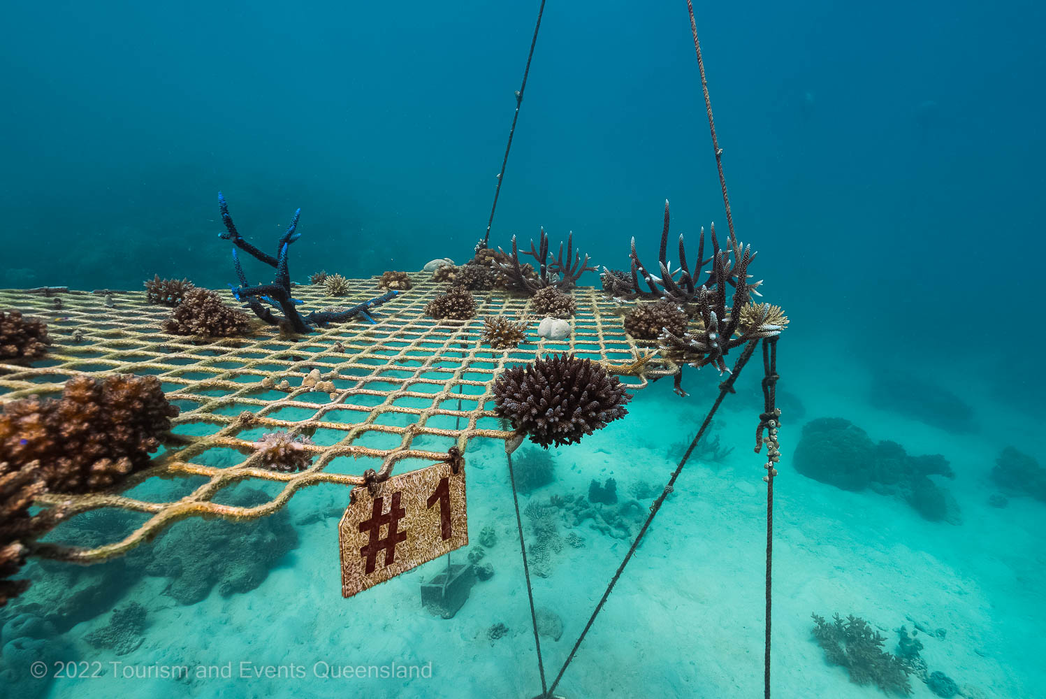 Government agencies | Reef Authority