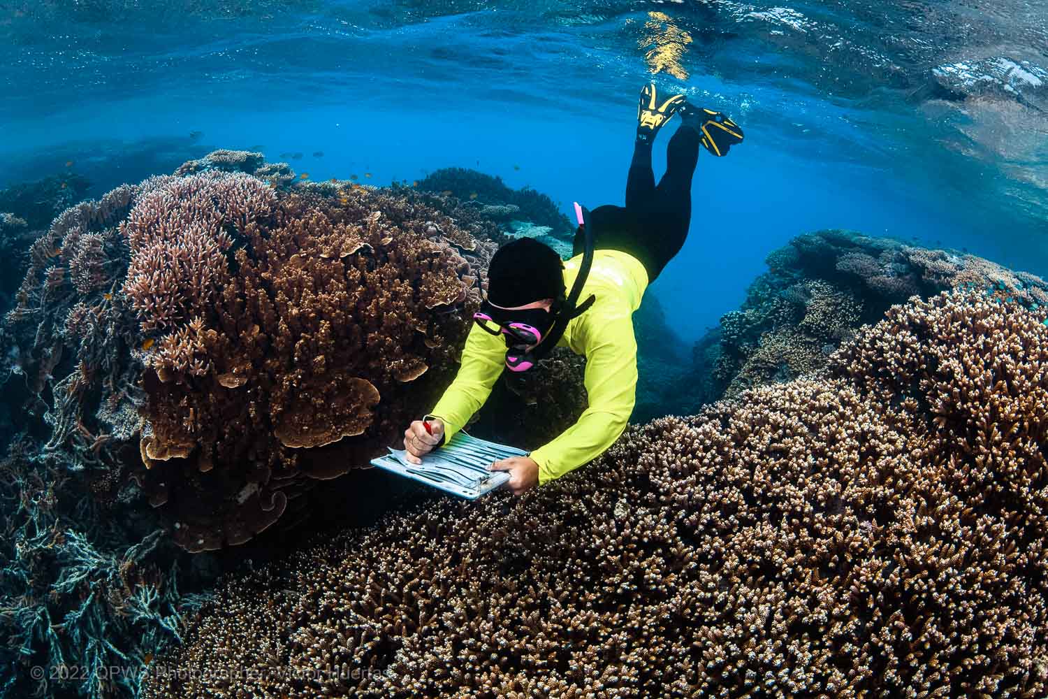 Contact | Reef Authority