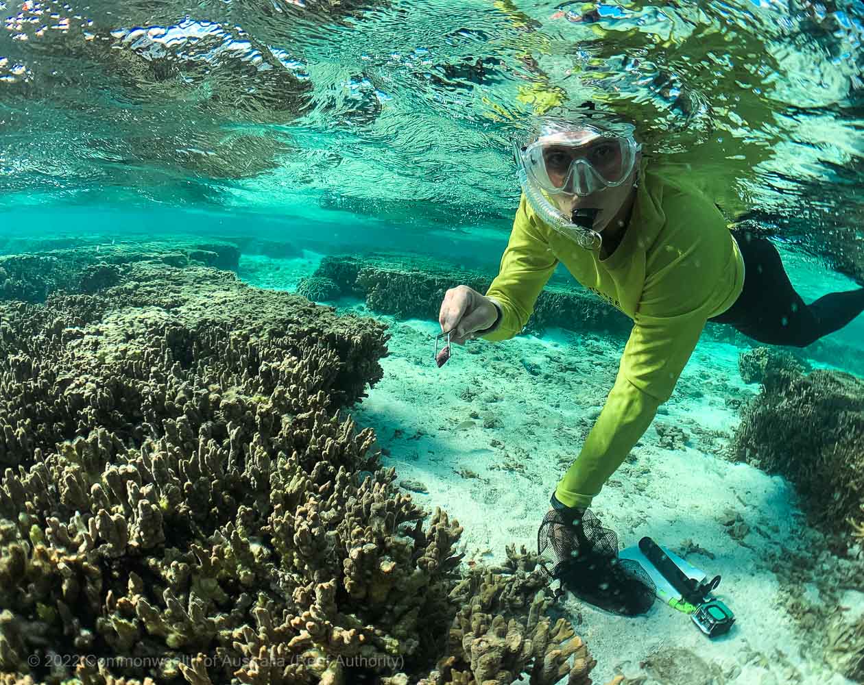 Managing activities and use | Reef Authority