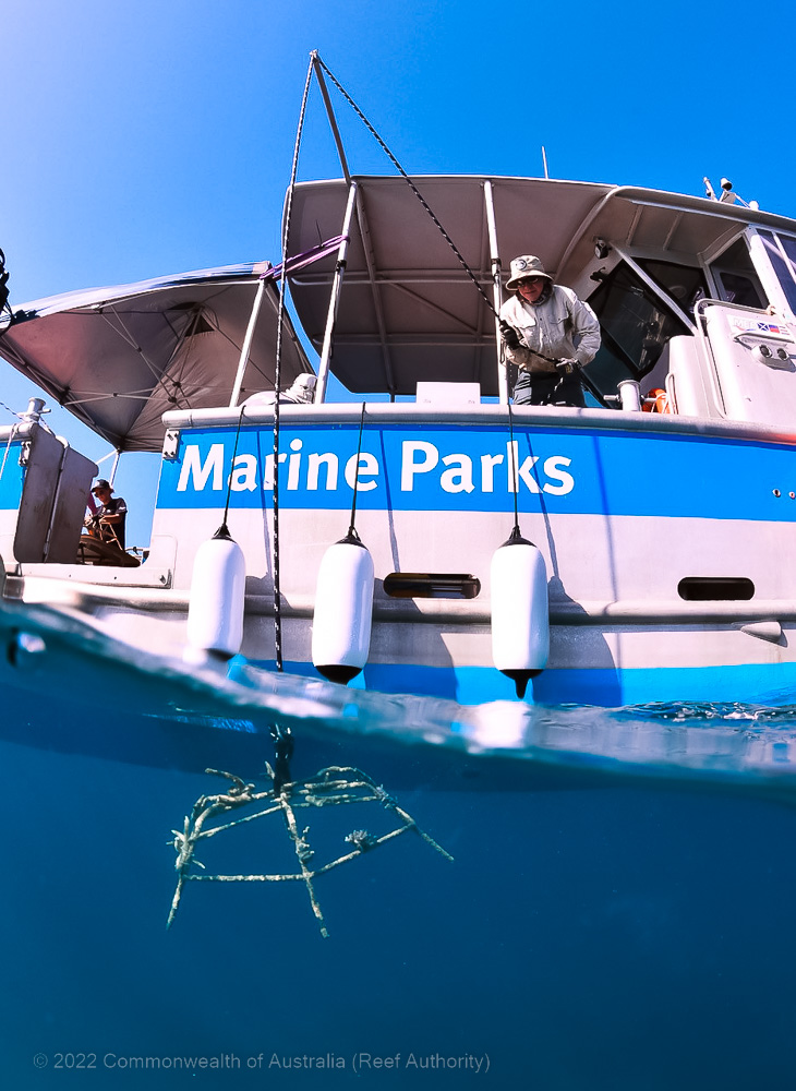 Project Reefresh: Bait Reef rehabilitation | Reef Authority