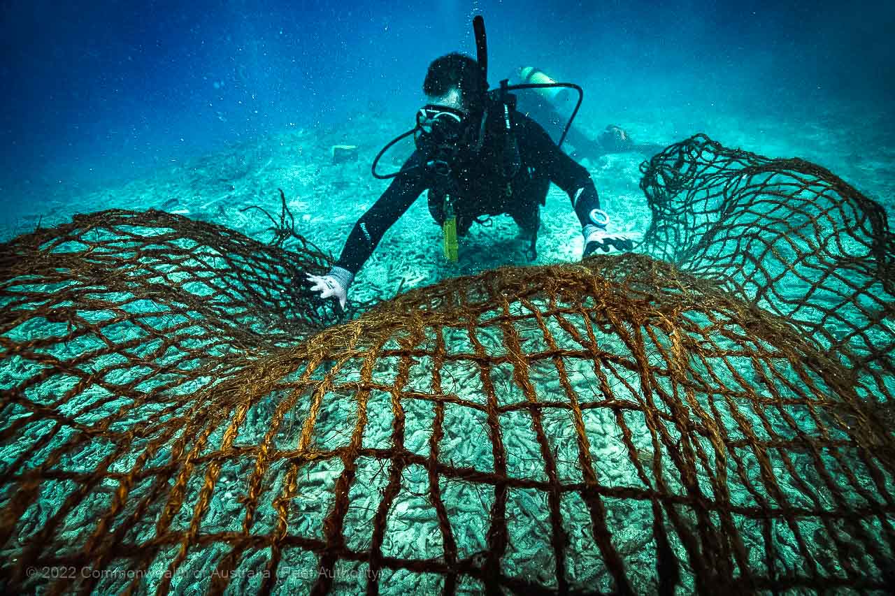 Project Reefresh: Bait Reef rehabilitation | Reef Authority