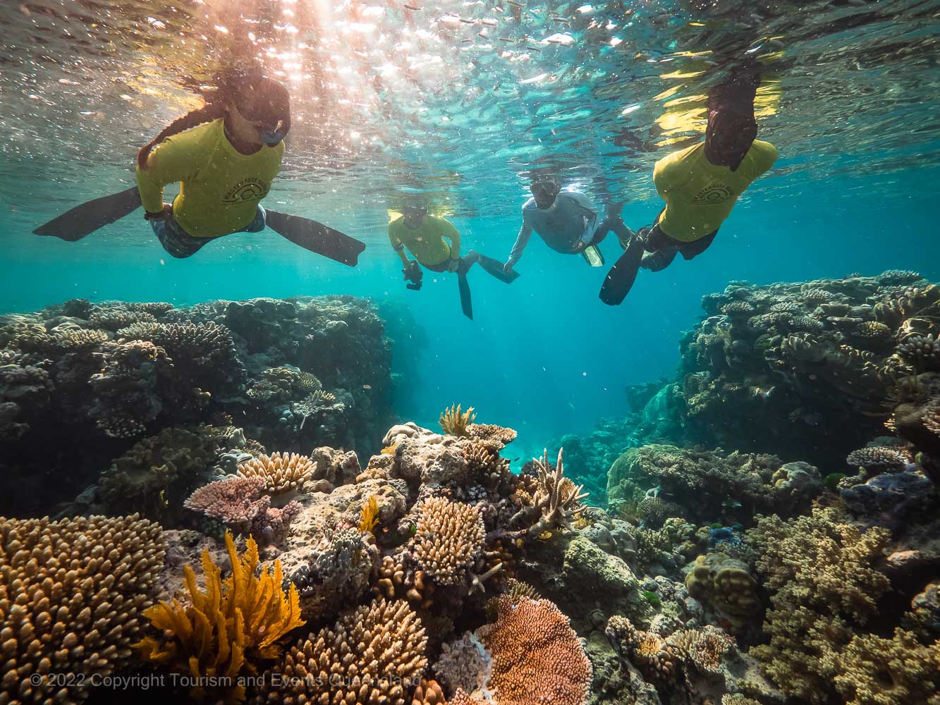 Master Reef Guides | Reef Authority