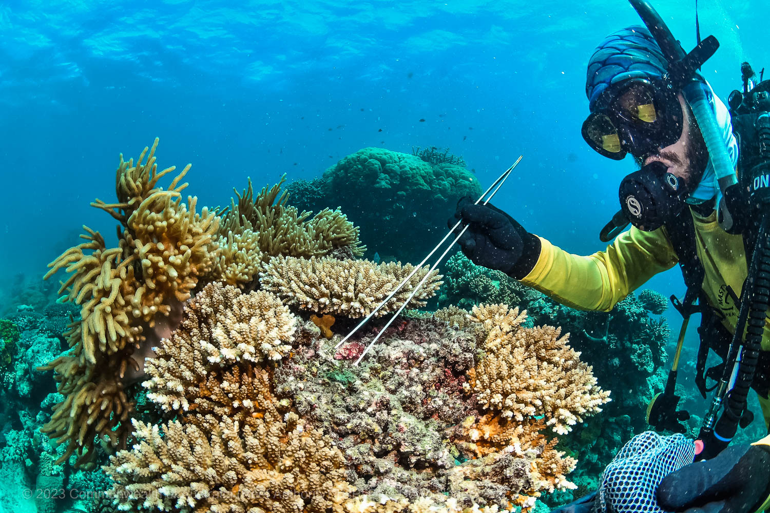 Tourism Reef Protection Initiative | Reef Authority