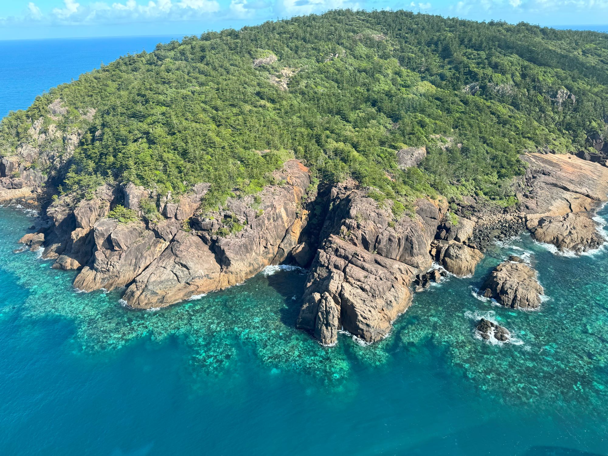 Reef snapshot | Reef Authority