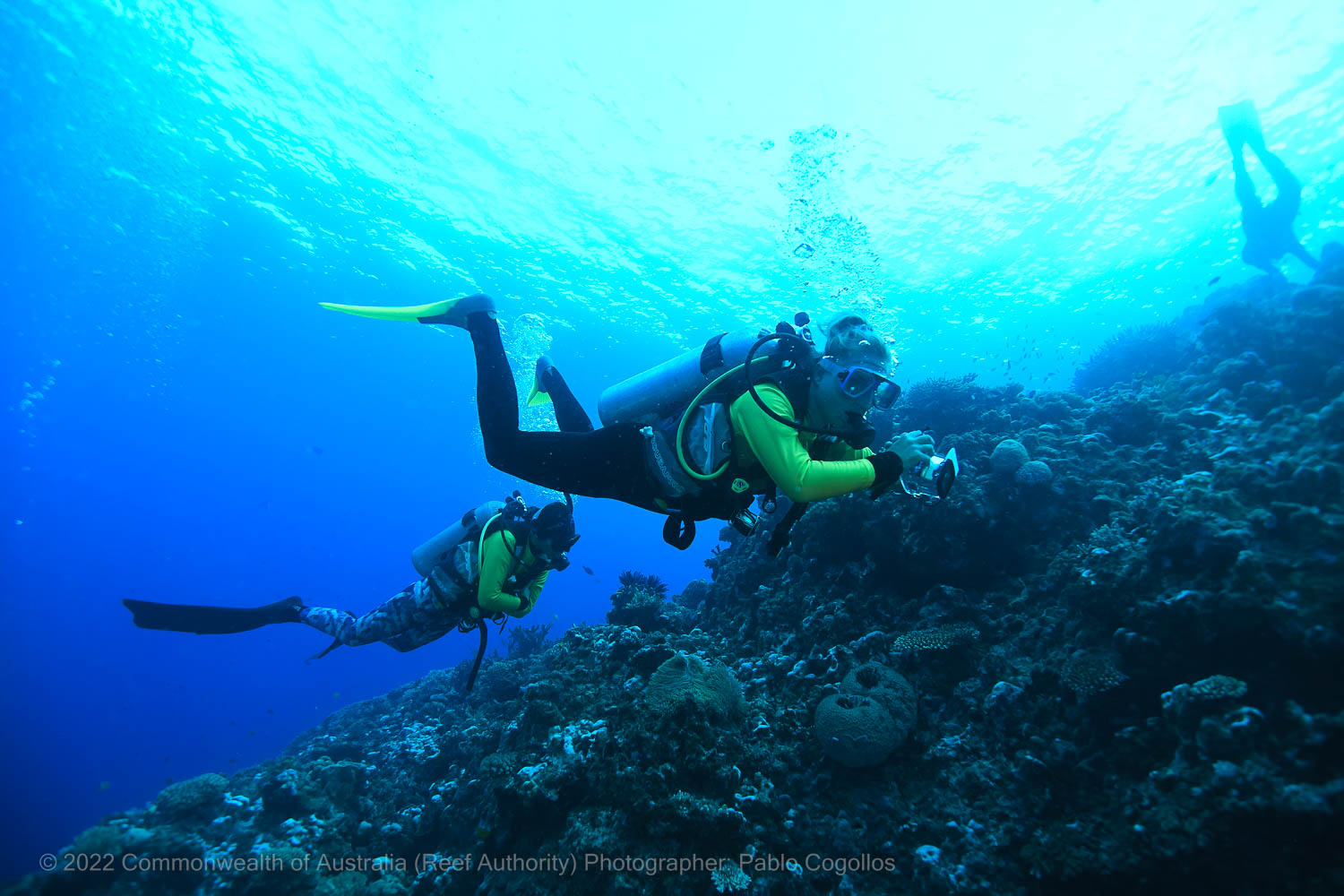 Responsible Reef Practices | Reef Authority