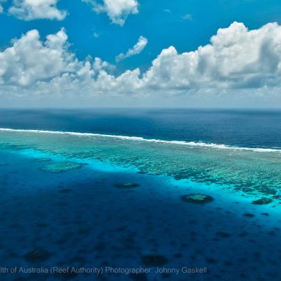 Threats to the Reef | Reef Authority