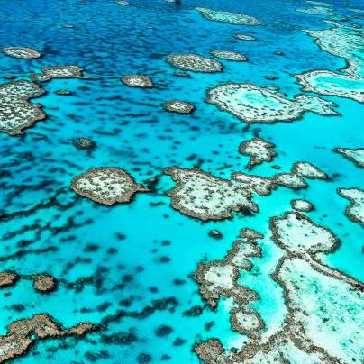 Naming of reefs and undersea geographic features | Reef Authority