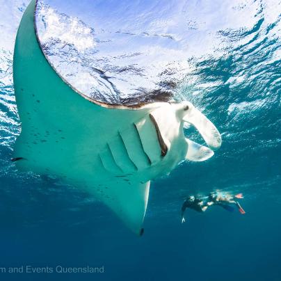 Great 8 | Reef Authority