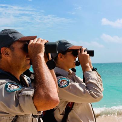 Field management of the Great Barrier Reef Marine Park | Reef Authority