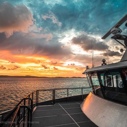 Conservation and monitoring | Reef Authority