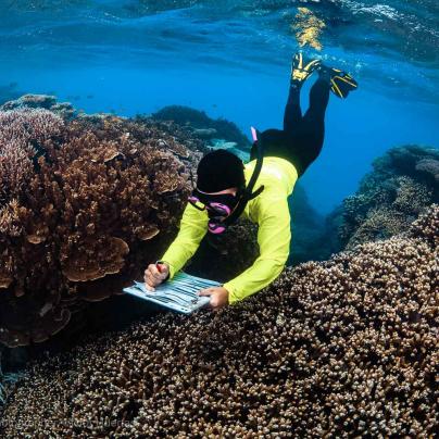 Tourism industry | Reef Authority