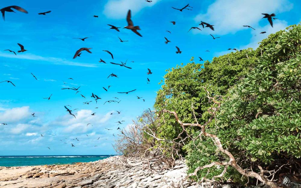 Search Results | Reef Authority